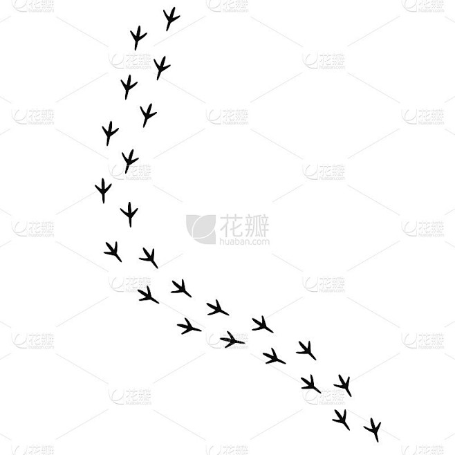 鸟的爪印行走在一个路径矢量插图