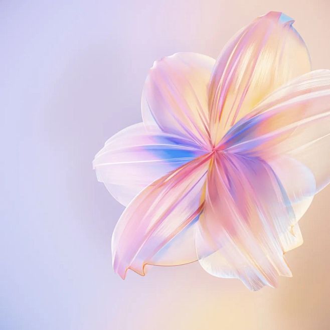 荣耀 80SE 内置壁纸5