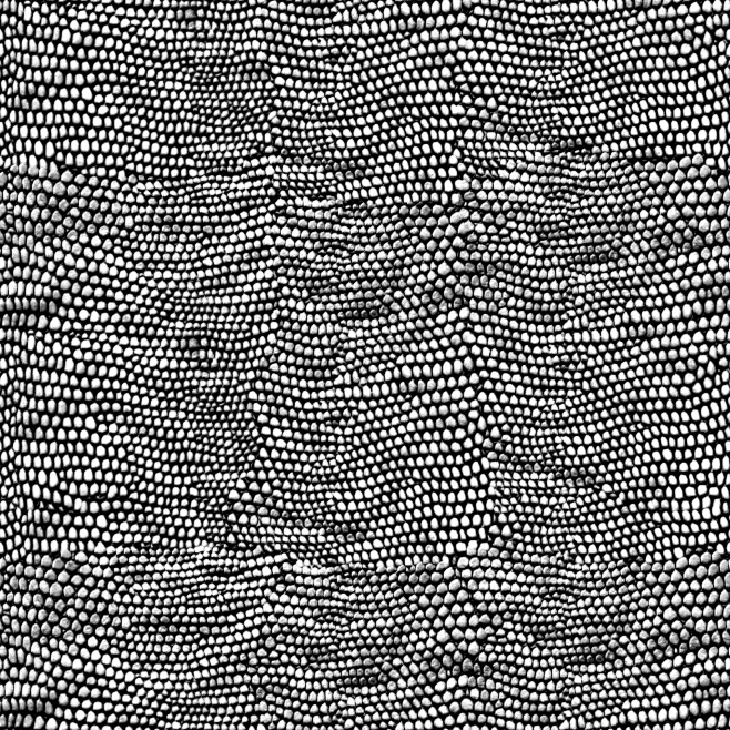 Lizard Skins Alpha Collection, Trouble_Shot VFX : A small collection on ...