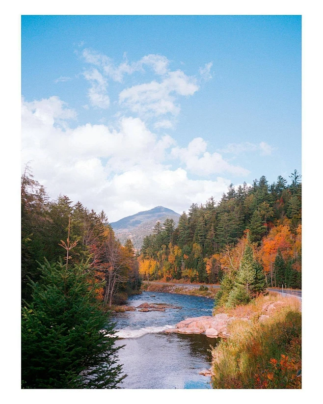 秋天的色彩 | Nevin Johnson-花瓣网