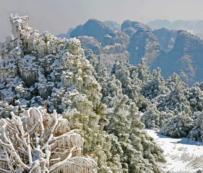 王莽岭景区官方网站、旅游网--太行云顶、清凉圣境--优惠预定门票、餐饮、住宿、土特产、纪念品-花瓣网