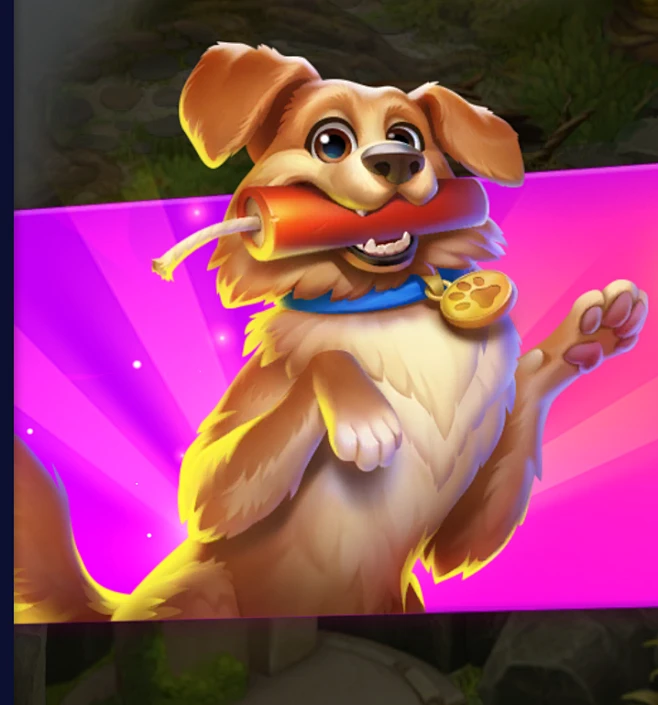 dog-花瓣网