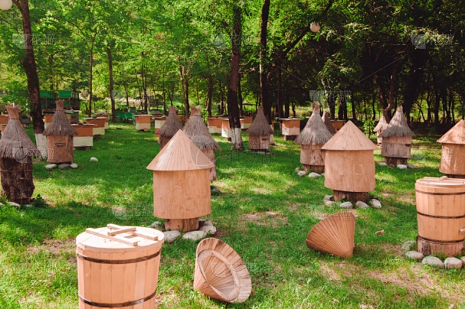 蜜蜂,蜂箱,概念,平衡折角灯,大群动物,水平画幅,草,蜡,痛苦,农业素材-花瓣网