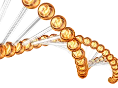 TPU 德国巴斯夫 1190A10 耐低温 耐水解 透明级 抗撕裂韧性好颗粒-淘宝网-花瓣网
