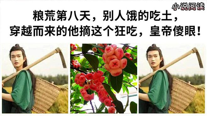 男-历史-大图-无-26LSQ-1110 (1)