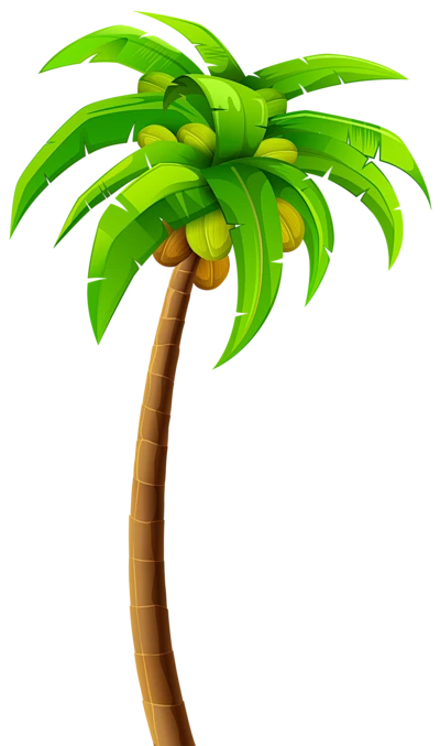 【米图网-52mitu.com】椰子树 树 椰子 ss椰子树-花瓣网