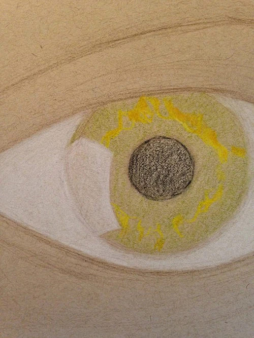 Redosking超逼真的眼睛彩色铅笔绘画作品-花瓣网
