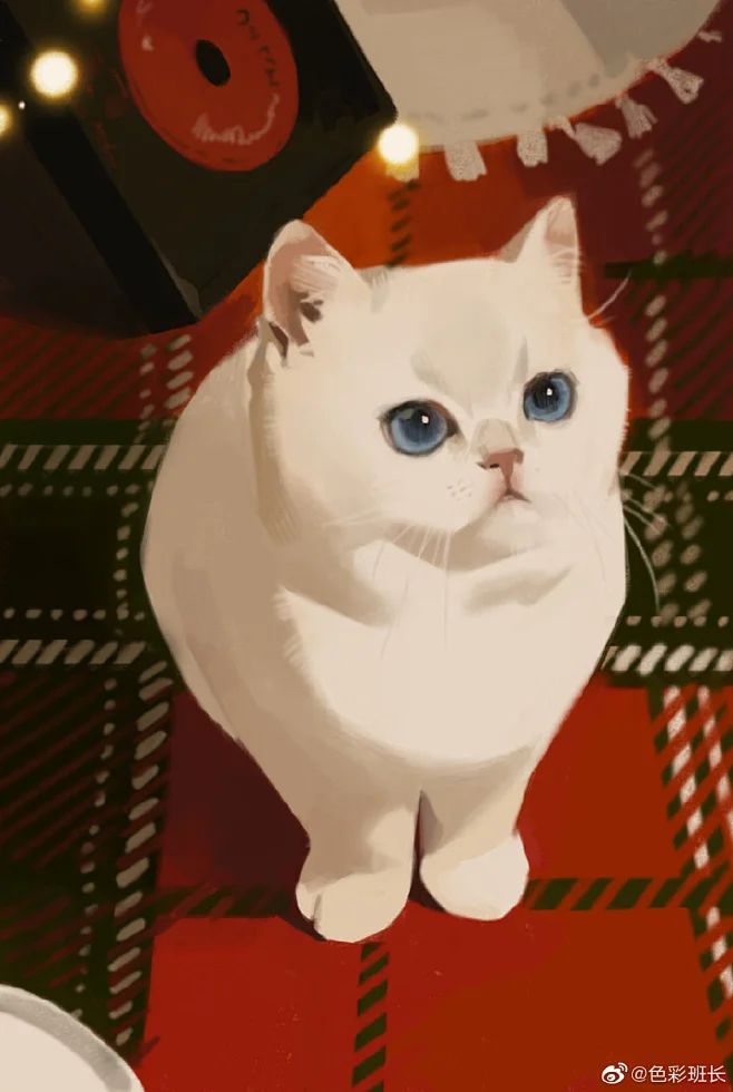 图片_白川柏川图片素材-花瓣网