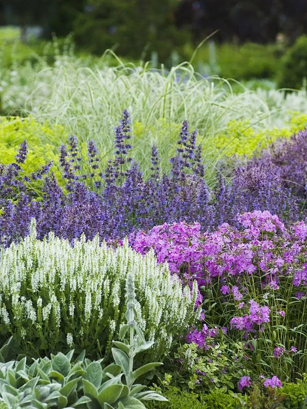Mixtures of salvias, garden phlox and grasses create this variation on the purple, pink and ...