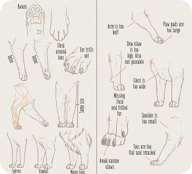 犬科和猫科动物画法 -花瓣网