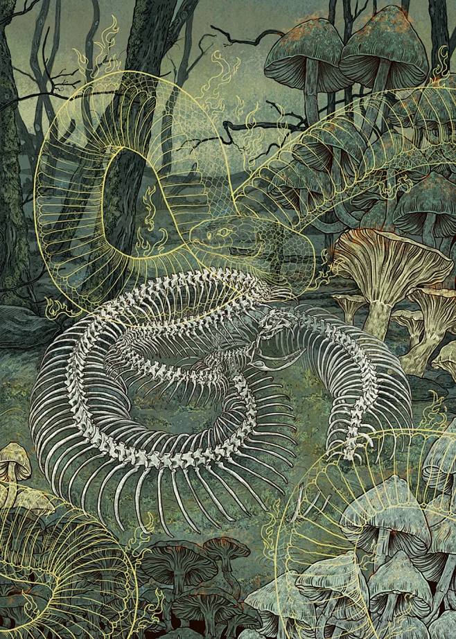 Mlito | Angela-Rizza-花瓣网