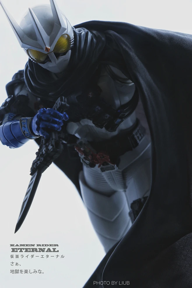 真骨雕 E哥_看图_假面骑士周边吧_百度贴吧-花瓣网