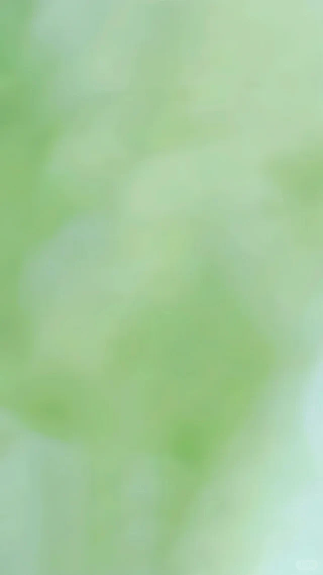 高级质感背景图绿色 - 小红书搜索-花瓣网