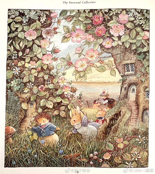栗子插画超话 《狐狸村大冒险》《野蔷薇村的故事》插图 by Jill Barklem #@阿咚：“狐狸村儿传奇系列”的图 by brian ...