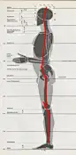 Nsio explains: Understanding Proportions by Nsio on deviantART-花瓣网