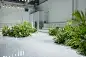 limil-花瓣网