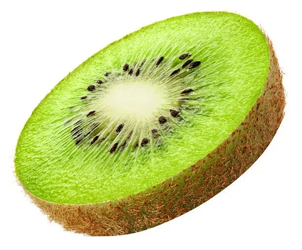 在白色背景上孤立的几维鸟图片-花瓣网