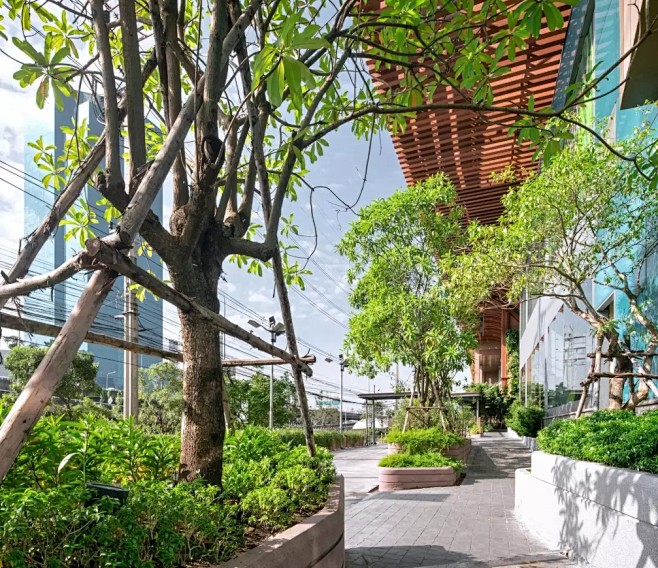 mooool-Rama3-photos8