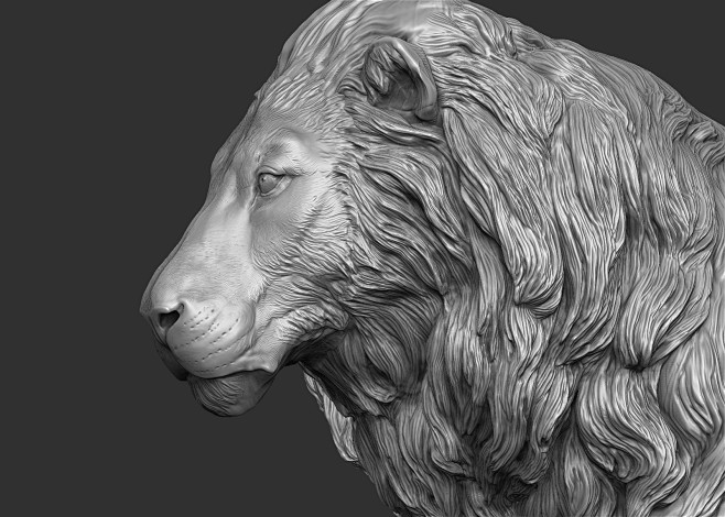 lion WIP
