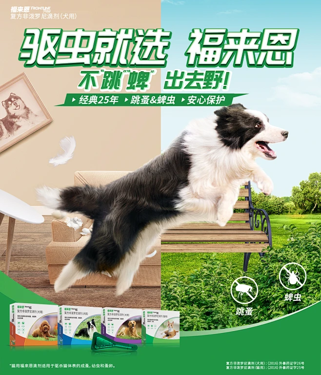 波奇网旗舰店-花瓣网