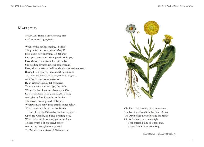 Flower Poetry(1)_53