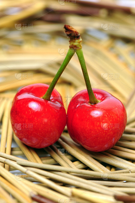 樱桃,特写,白色背景,营养成分标签,垂直画幅,素食,生食,明亮,甜点心,花束