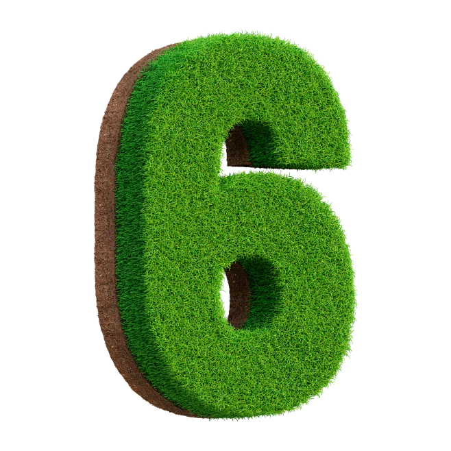 number_6_grass_3d_render图片_数字图片素材-花瓣网