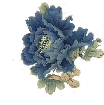 牡丹花png免抠图素材(一)-花瓣网