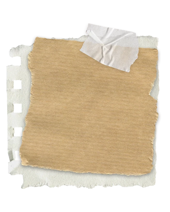 免费实体素材分享 - 小红书-花瓣网