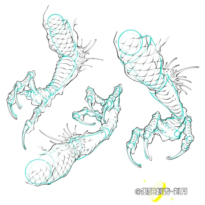 新传统龙爪各角度画法及透视结构分享-花瓣网