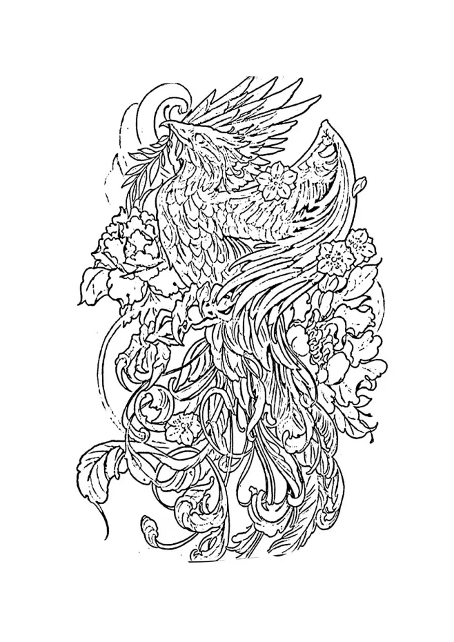 ebe84311-257e-8d26-a471-995f3f1267b5 (1080×1526)-花瓣网