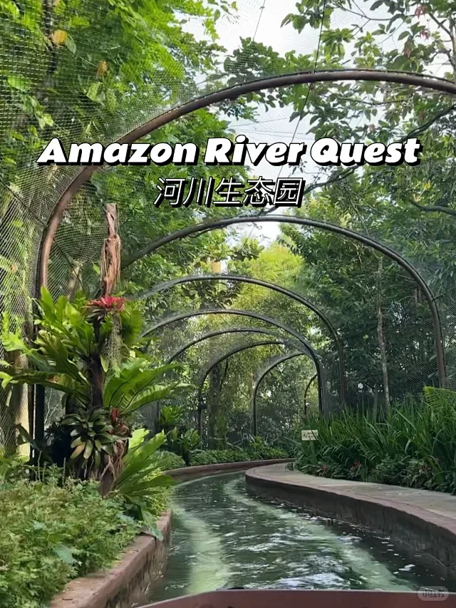 新加坡河川生态园 - 小红书搜索-花瓣网
