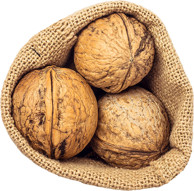 05_Walnuts Bag