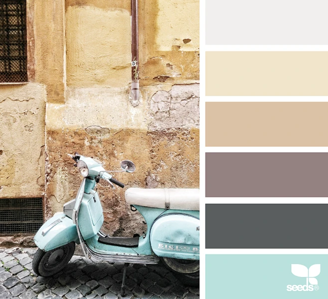 { color ride } image via: @m_vet-花瓣网