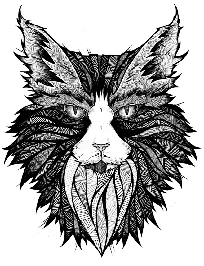 Andreas Preis-花瓣网