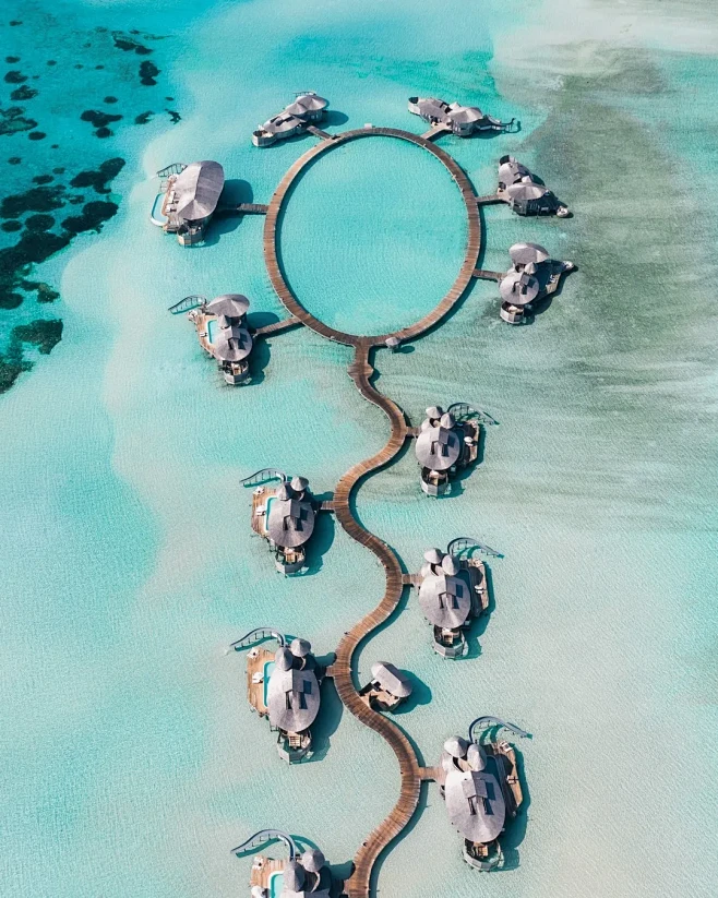 640 (1080×1350)-花瓣网