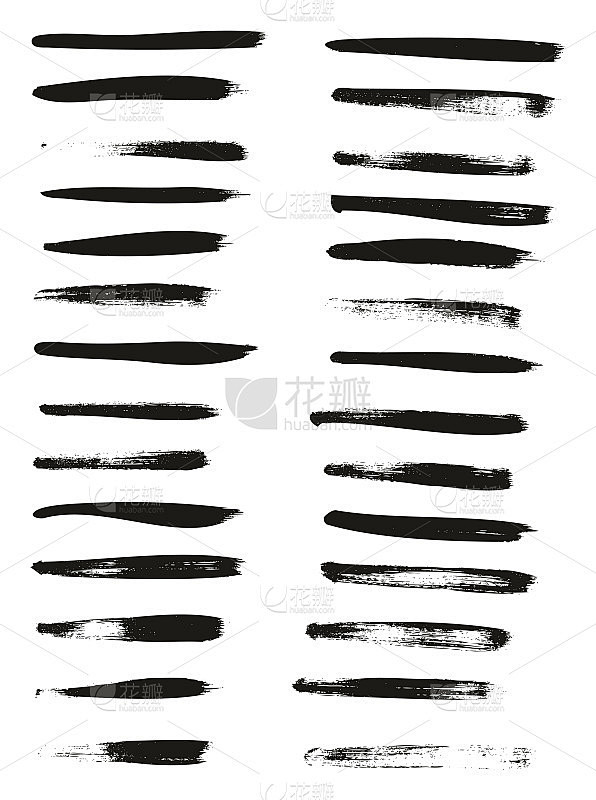 Calligraphy Paint Thin Brush Lines High Detail Abs