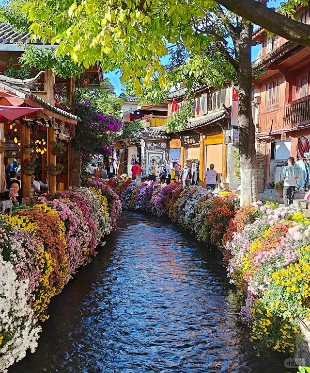 丽江古城四方街 - 小红书搜索-花瓣网