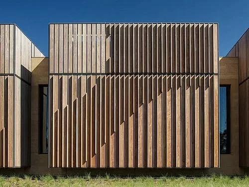 webp.webp (6)-花瓣网