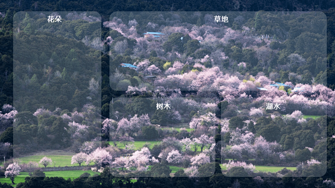 唯美风景分区电脑壁纸