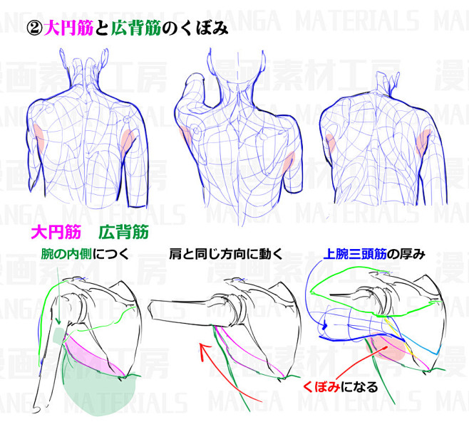 170p 不同角度人体动态比例姿势造型参考素材 (168)