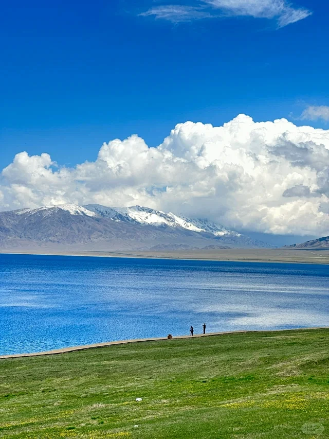 新疆赛里木湖春天 - 小红书搜索-花瓣网