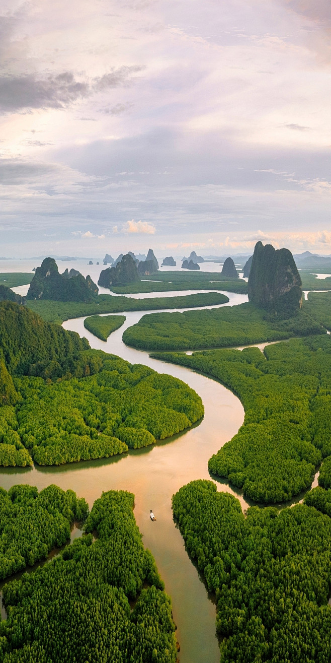mangrove-forest-phang-nga-bay-thailand-aerial-view-nature